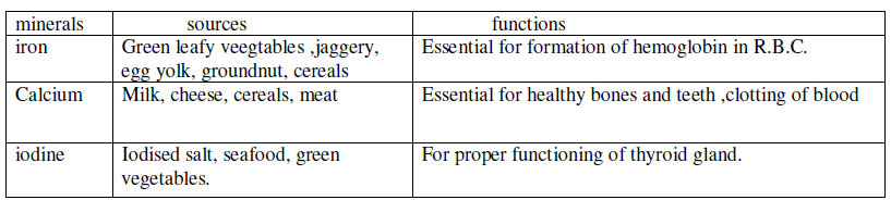 CBSE Class 6 Science Components Of Food Notes CBSE Class 6 Science Components Of Food Notes